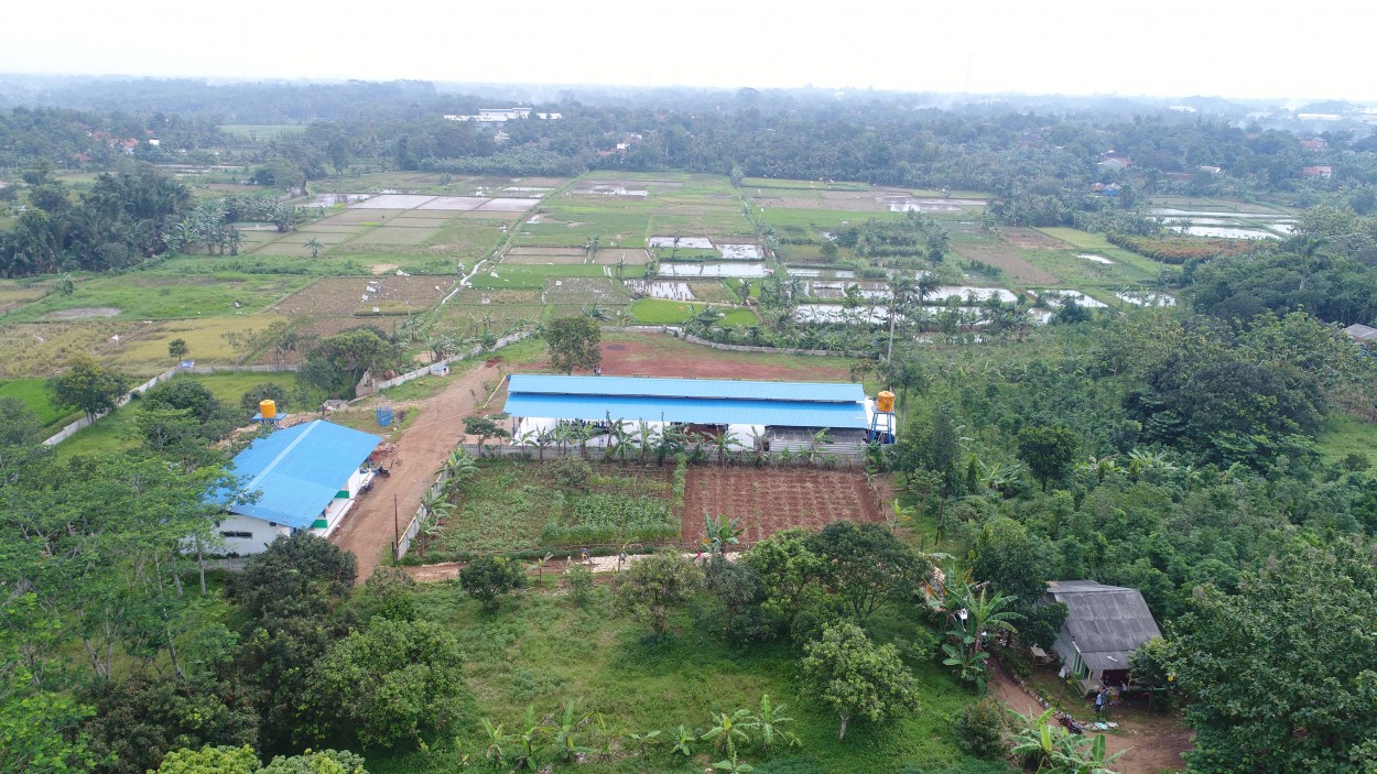 Tahfizh Al-Qur'an Darunnajah 13 Rabiul Qulub - Pondok Pesantren Darunnajah