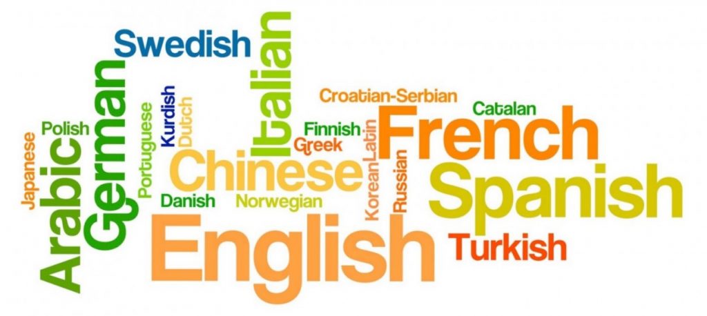Why is Language Important?