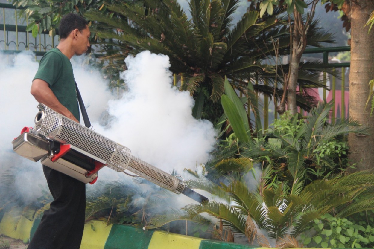 Fogging Hindari Nyamuk DBD